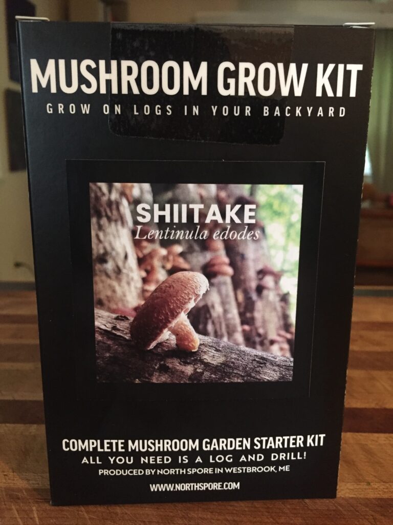 How to Grow Shiitake Mushrooms on Logs - Sporulove